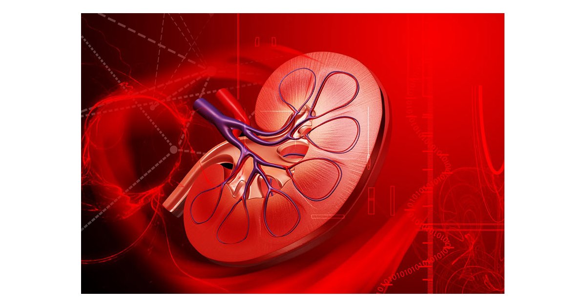 Dépistage Maladie Rénale Chronique - Bioxa